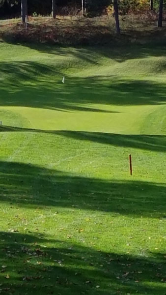 Course Gallery - Black Bear Golf Club