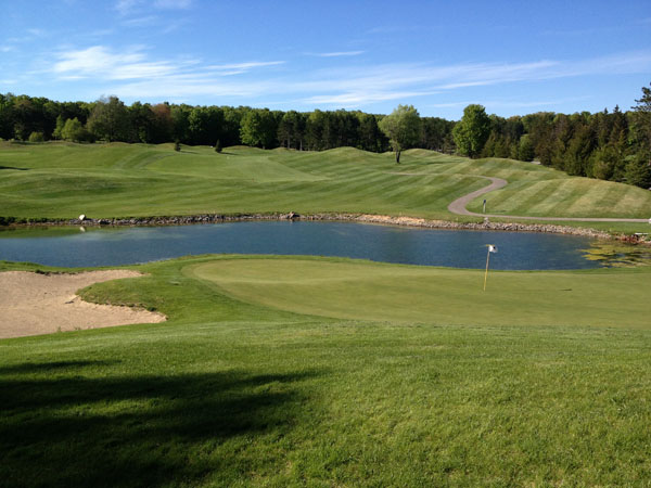 Course Gallery - Black Bear Golf Club