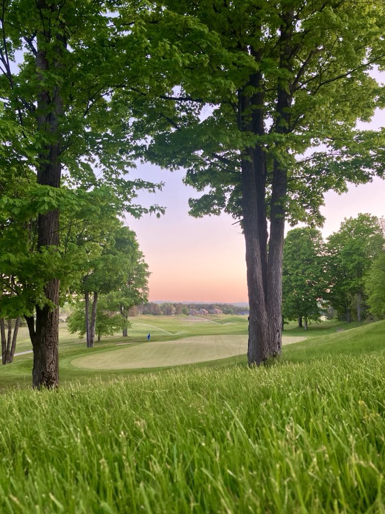 Course Gallery - Black Bear Golf Club